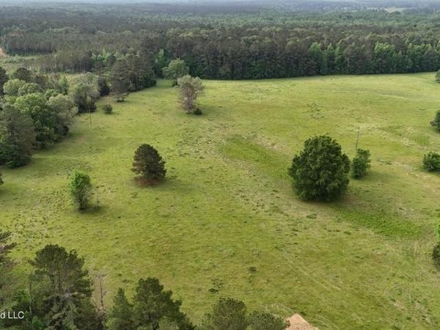 Sulphur Springs Rd Lot 7, Canton, MS 39046