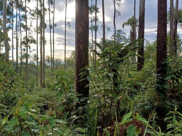SUPER TERRENO ITAPECERICA DA SERRA, 450 MIL