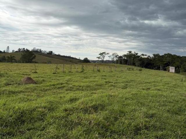 SUPER LANCAMENTO LOTE PARA CHACRINHA SANTA ISABEL