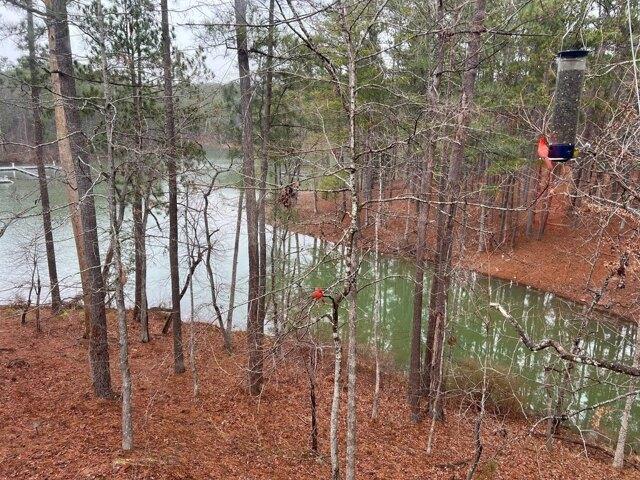 Superior Cv Lot,mccormick, Plot For Sale