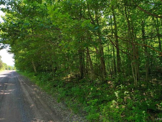 Superior Shores Rd, Atlantic Mine, MI 49905