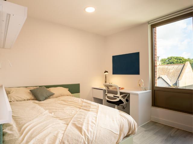 Superior Studio at Promenade Student. Studio to rent £1,733 pcm £400 pw