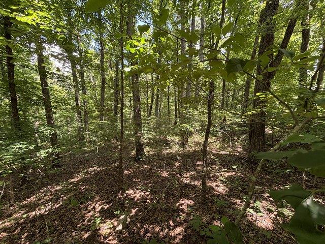 Sussex Rd, Dayton, TN 37321