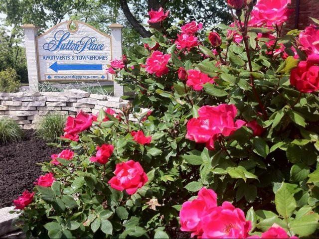 Sutton Place Apartments and Townhomes 1 Bedroom Apartment for Rent at 1132 Deliquia Dr, Cincinnati, OH 45230 Mount Washington
