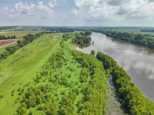 Sutton Rd, Hickman, KY 42050