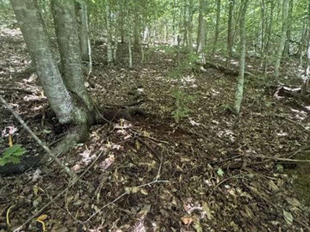 Suttons Rd, Sevierville, TN 37876