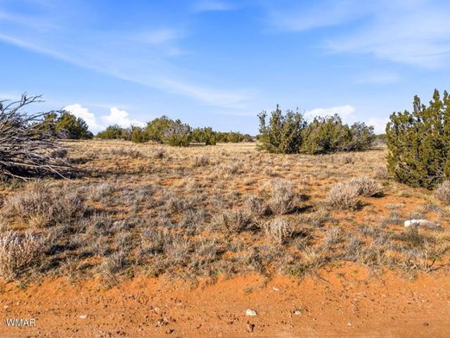 Sw4 Nw4 Section 4 T14n R16e, Heber, AZ 85928