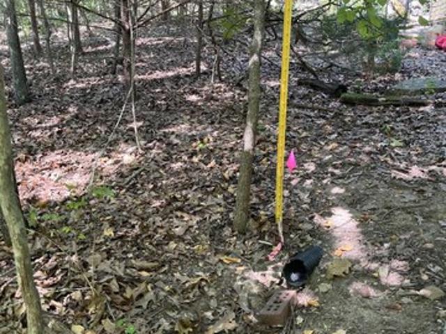 002 10879 Sycamore Tree Ln, Lakeview, AR 72642