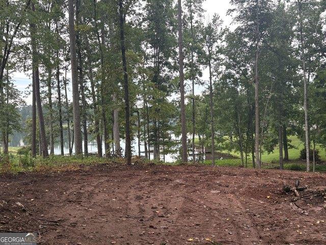 Sycamore Dr Lot 92, Sparta, GA 31087
