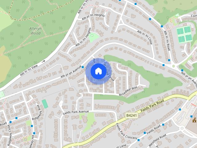 Sycamore Drive, Allt Yr Yn Avenue, Newport. NP20 5BX