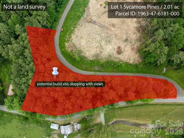 Sycamore Rd, Vilas, NC 28692