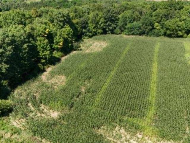 Sycamore St Parcel 4, Dryden, MI 48428