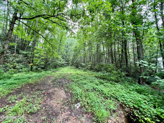 Sycamore St, Sevierville, TN 37876