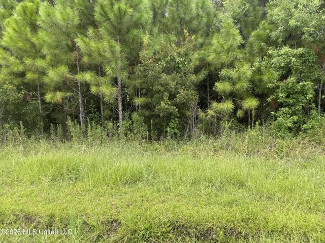Sycamore Street, Waveland, MS 39576
