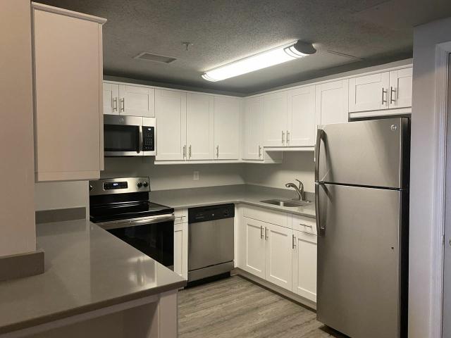Sydnor Flats 2 Bedroom Apartment for Rent at 108 E Grace St, Richmond, VA 23219 Monroe Ward