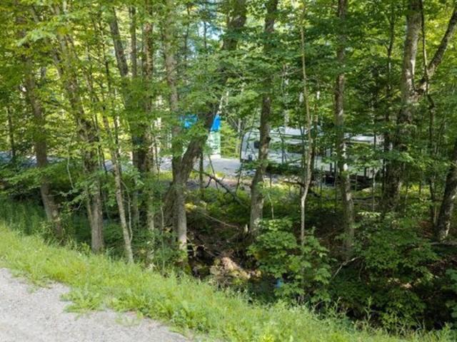 Sylvan Ridge Rd, Winhall, Plot For Sale