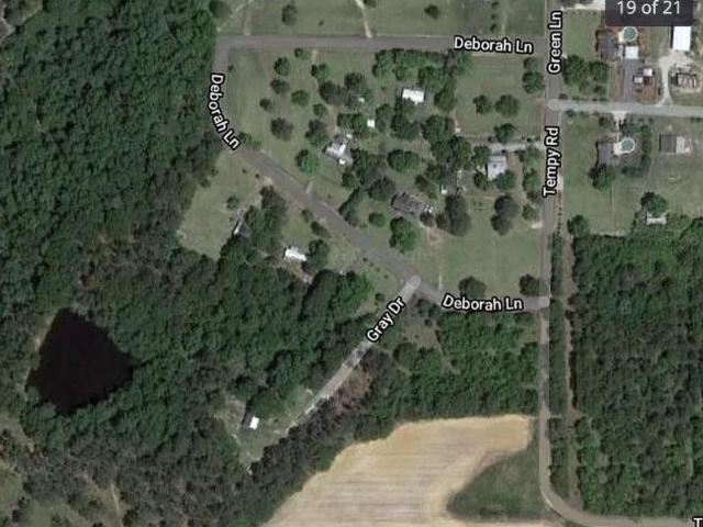 Sylvester GA 31791 LS101011850