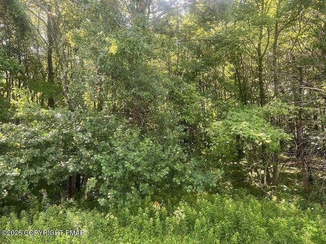 Sylvester Dr # 303, Long Pond, PA 18334