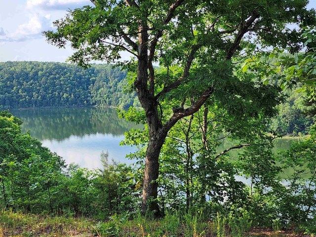 Sylvia Finch Misty Mtn Lot 23, Searcy, AR 72143