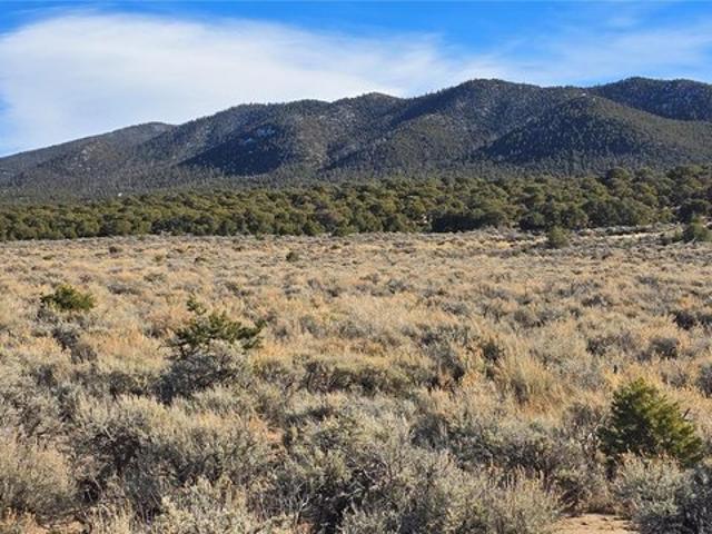 Sylvia Rd Lot 1075, Fort Garland, CO 81133