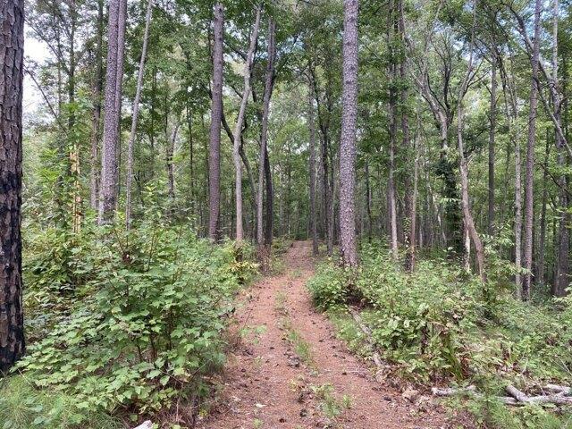 Sylacauga AL 35150 95015620