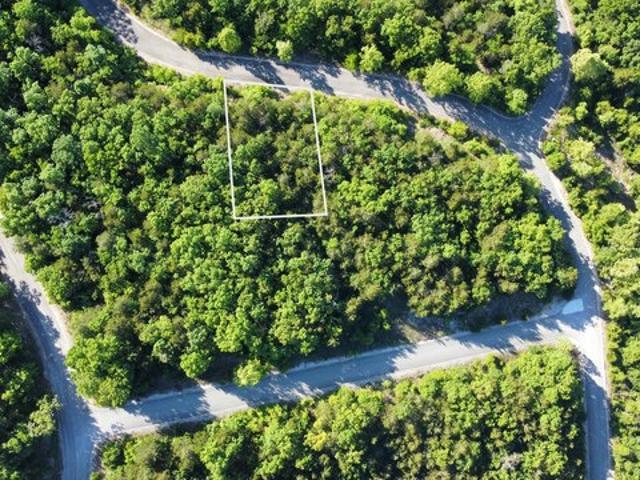 Syler Cir Lot 233, Hollister, MO 65672