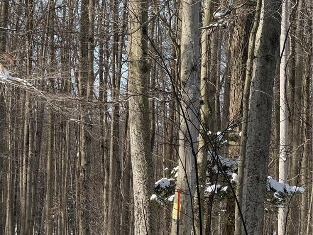 Syler Rd, Varysburg, NY 14167 | MLS #B1661